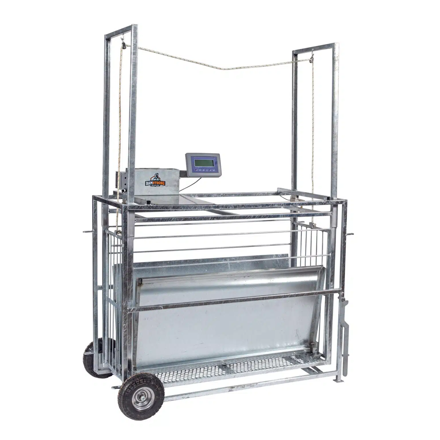 Easy Weigh Sheep & Goat Scale - Paragon Livestock Solutions